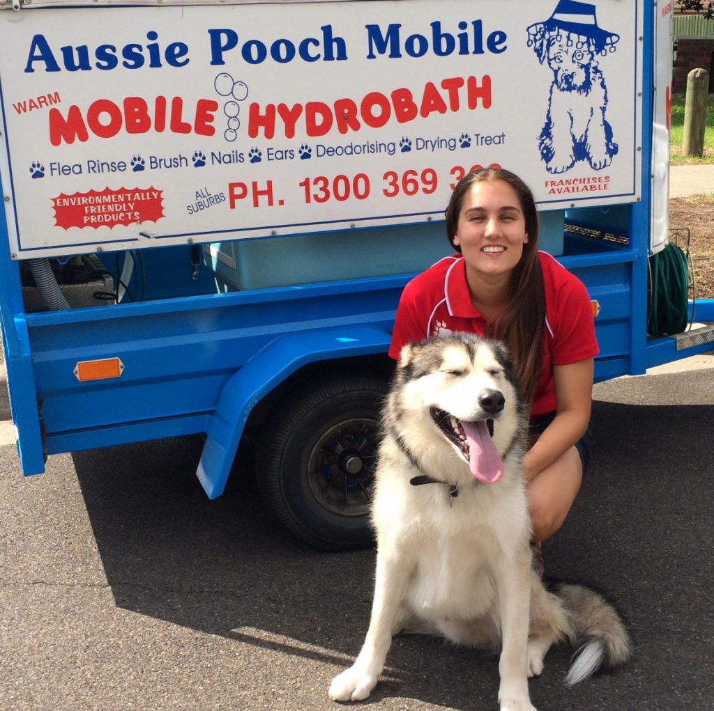 Dog Wash Gallery - Aussie Pooch Mobile