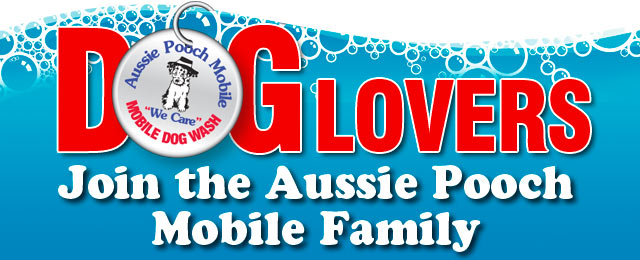 Dog washing businesses available now! | Aussie Pooch Mobile