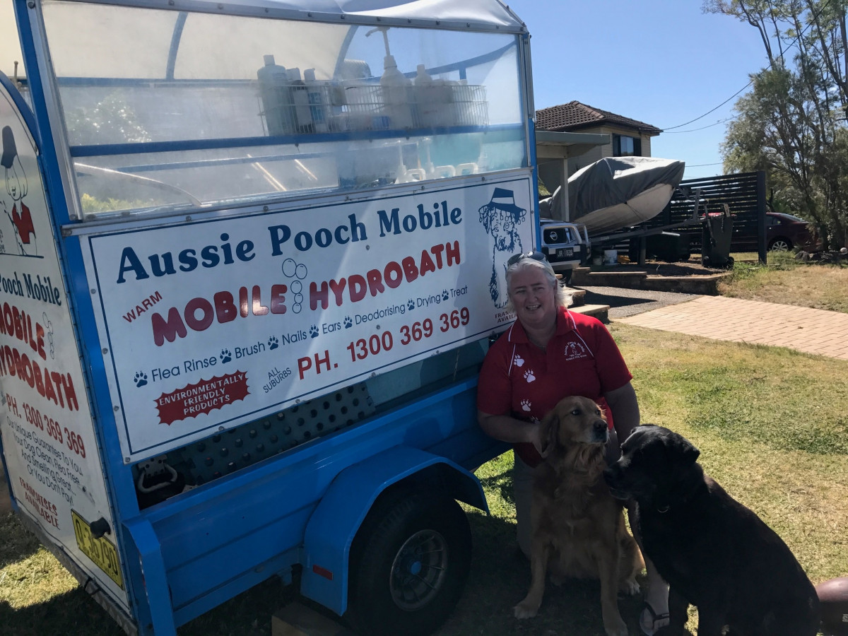 Dog wash services for Miranda dogs | Aussie Pooch Mobile