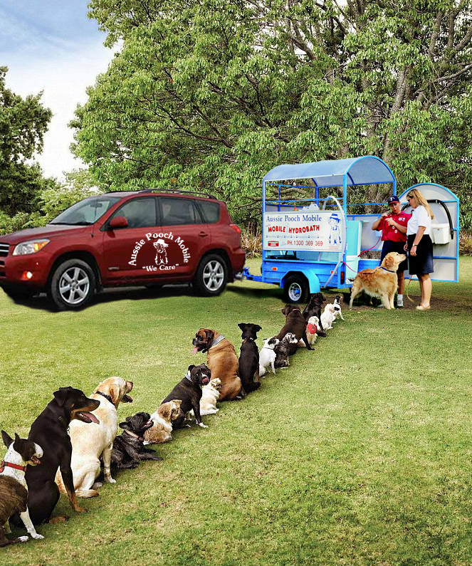 20 Reasons To Have A Pooch Party | Aussie Pooch Mobile