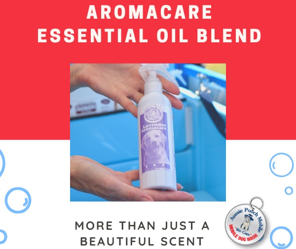 Aromacare- more than just a beautiful scent | Aussie Pooch Mobile
