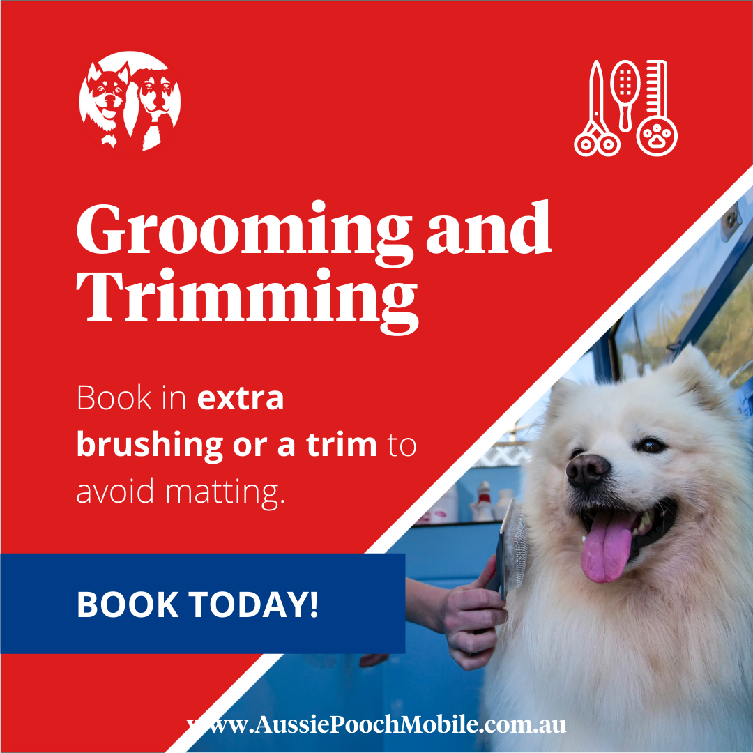 Aussie Pooch Mobile Dog Wash & Grooming Ph 1300 369 369