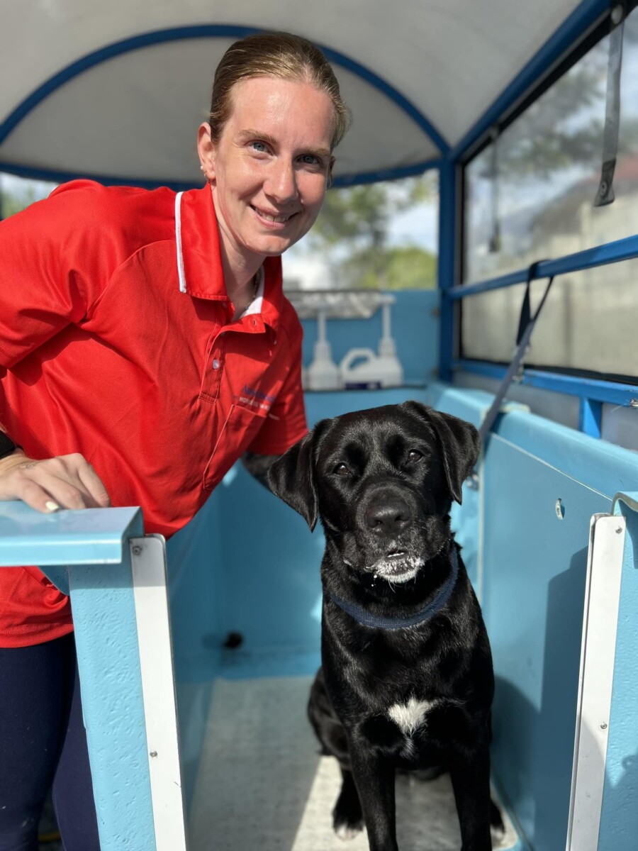 Aussie Pooch Mobile Dog Wash GRAND OPENING in Salamander Bay! | Aussie ...