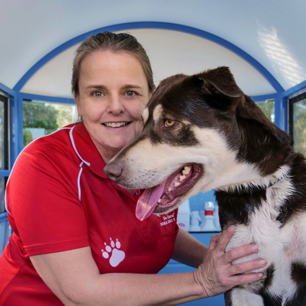 Meet Our Support Team | Aussie Pooch Mobile