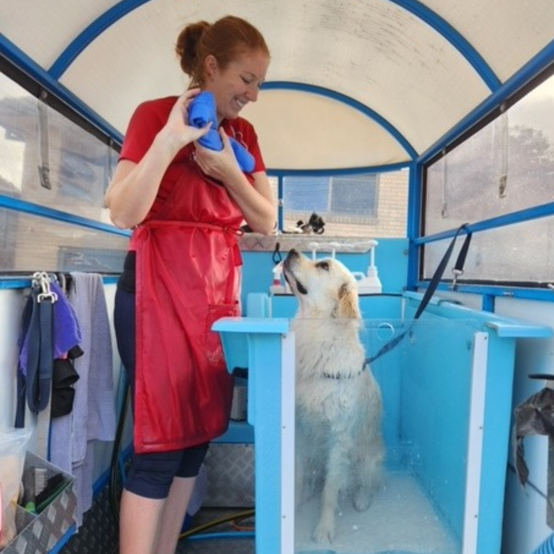 Benefits of Regular Dog Washing: Keeping Your Pooch Healthy and Happy ...