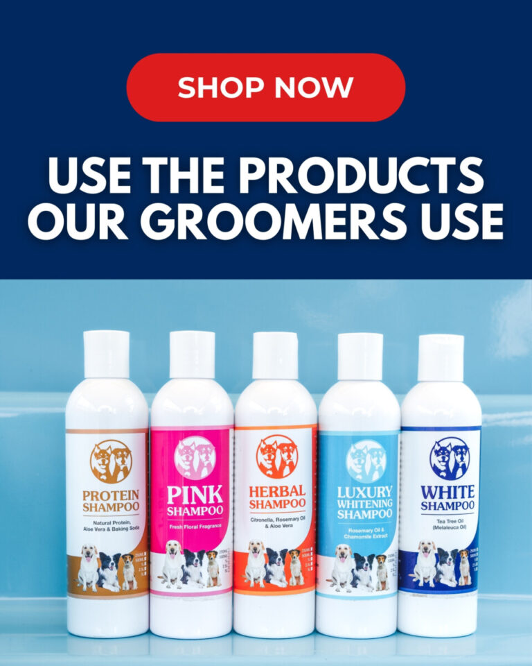 Dog Wash | Aussie Pooch Mobile